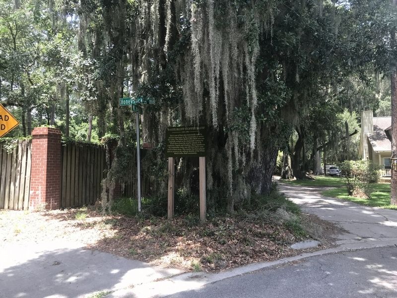 White Bluff • Coffee Bluff Historical Marker