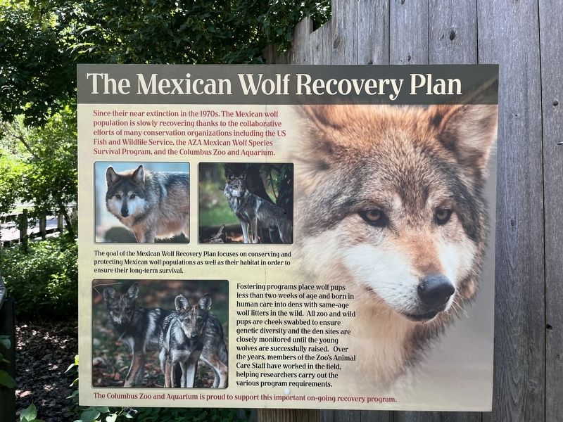 The Mexican Wolf Recovery Plan Historical Marker