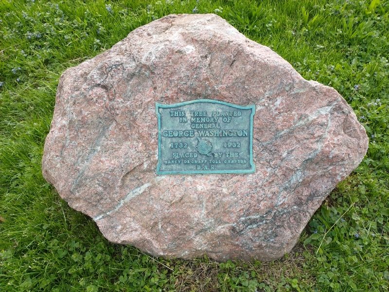 George Washington Tree, a War Memorial