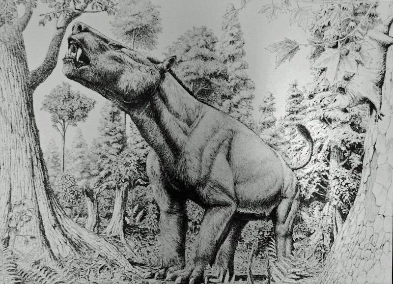 Tertiary (Paleogene) Period Historical Marker