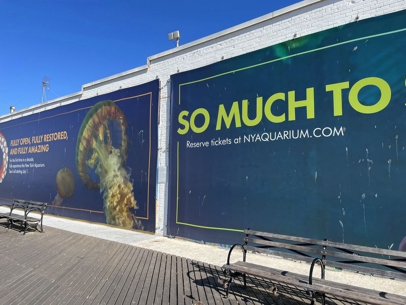New York Aquarium 2017 Mural Competition / Artist: Sheena Wong Shue ...