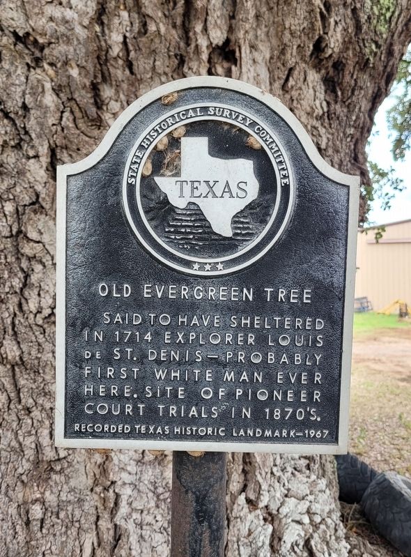 Old Evergreen Tree Historical Marker