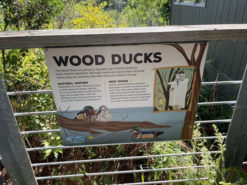Wood Ducks Historical Marker