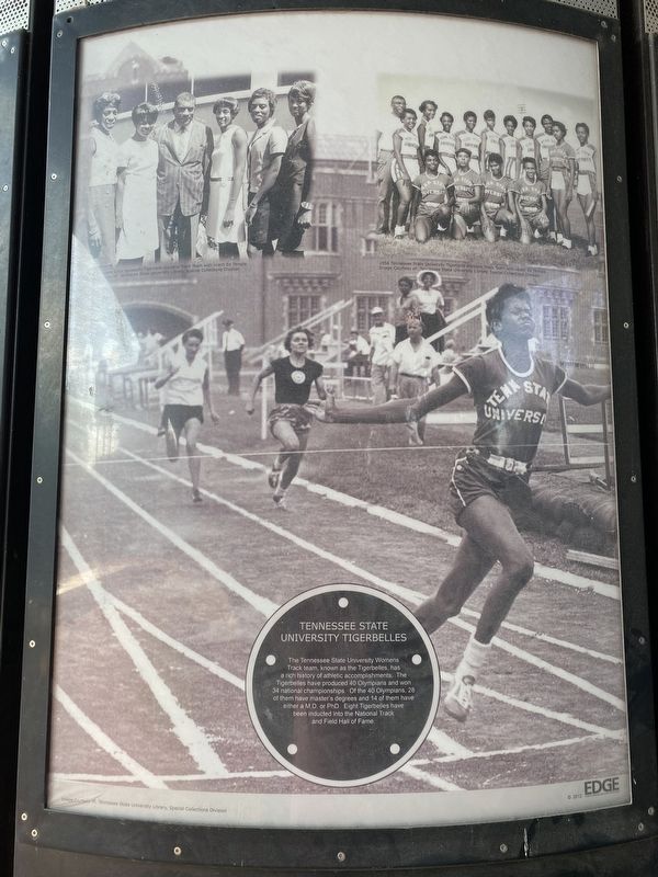 Tennessee State University Tigerbelles Historical Marker
