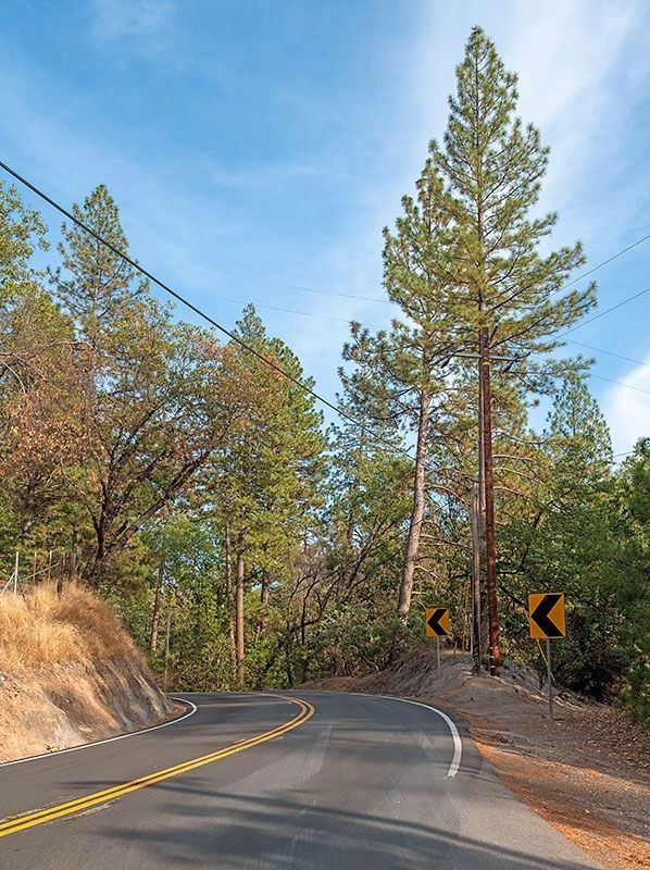 Carson Trail - Wagon Road to Placerville Historical Marker