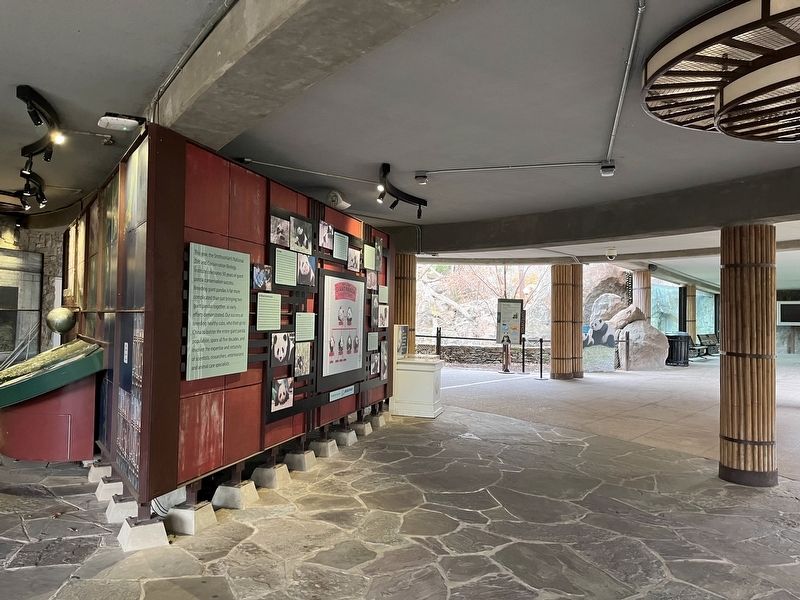 50 Years of Giant Panda Conservation Success Historical Marker