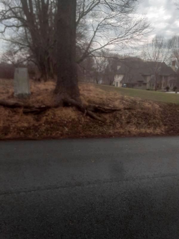 Hickory Tree Stump Monument Historical Marker