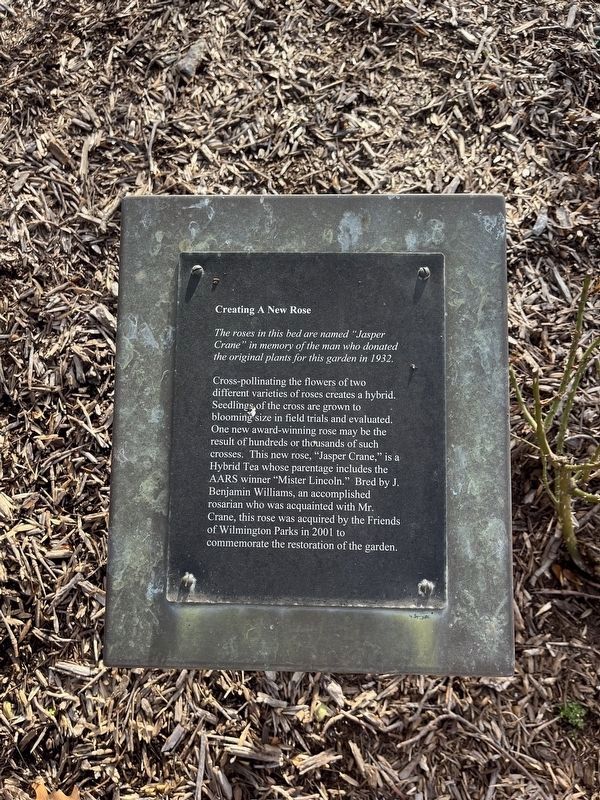 Creating A New Rose Historical Marker
