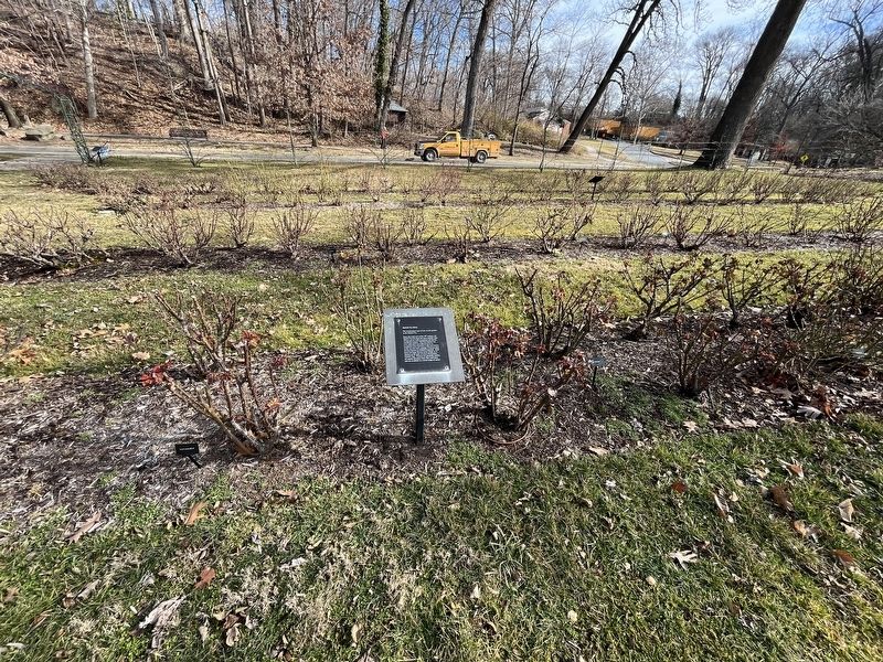 Hybrid Tea Roses Historical Marker