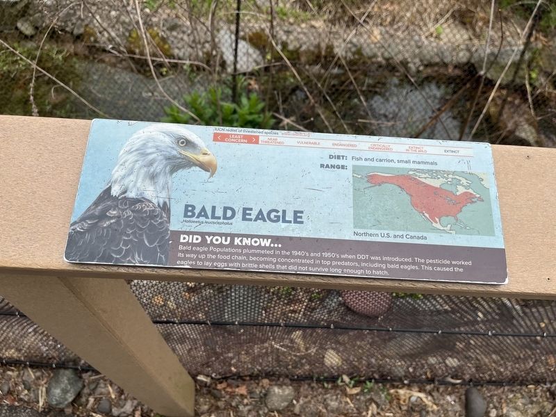 Bald Eagle Historical Marker