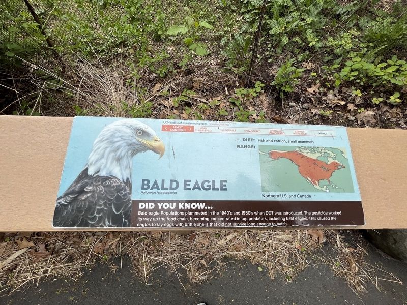 Bald Eagle Historical Marker