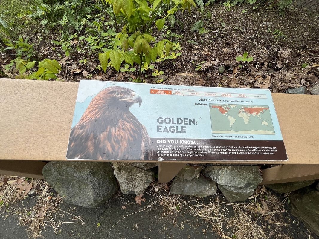 Golden Eagle Historical Marker