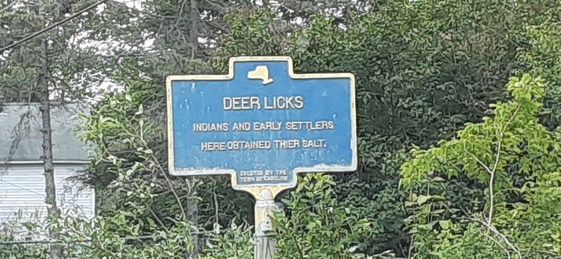 Deer Licks Historical Marker
