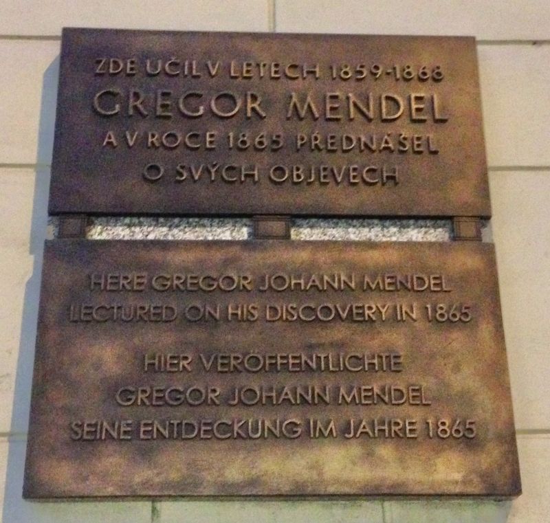 Here Gregor Johann Mendel Lectured on his Discovery in 1865 Historical ...
