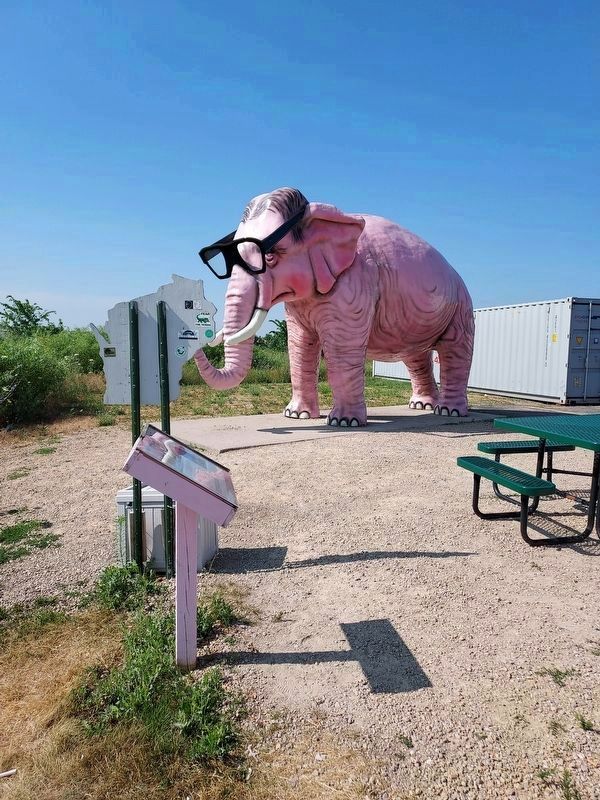 Pink Elephant
