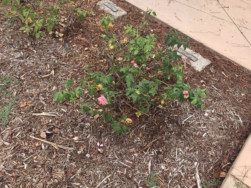 The Queen's Rose Garden Historical Marker