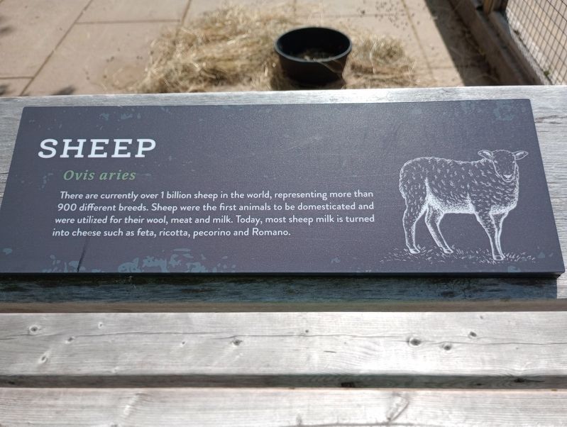 Sheep Historical Marker