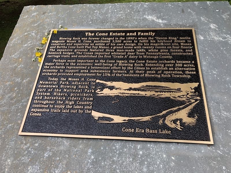 The Cone Estate and Family Historical Marker