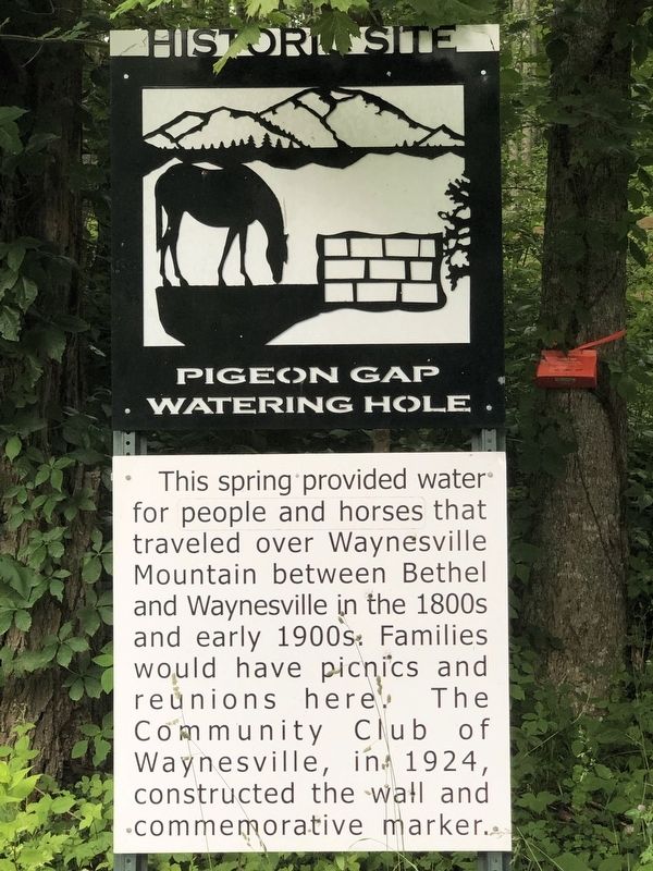 Pigeon Gap Watering Hole Historical Marker