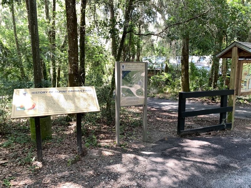 History of Alpine Groves Park Historical Marker
