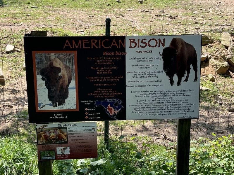 American Bison Historical Marker