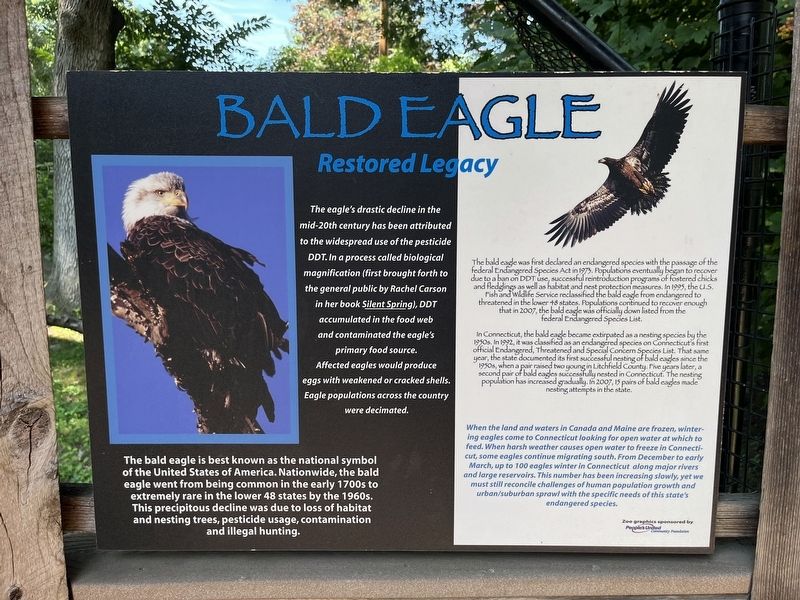 Bald Eagle Historical Marker