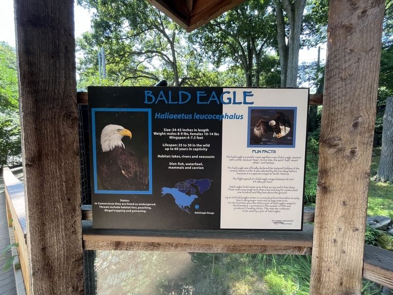 Bald Eagle Historical Marker