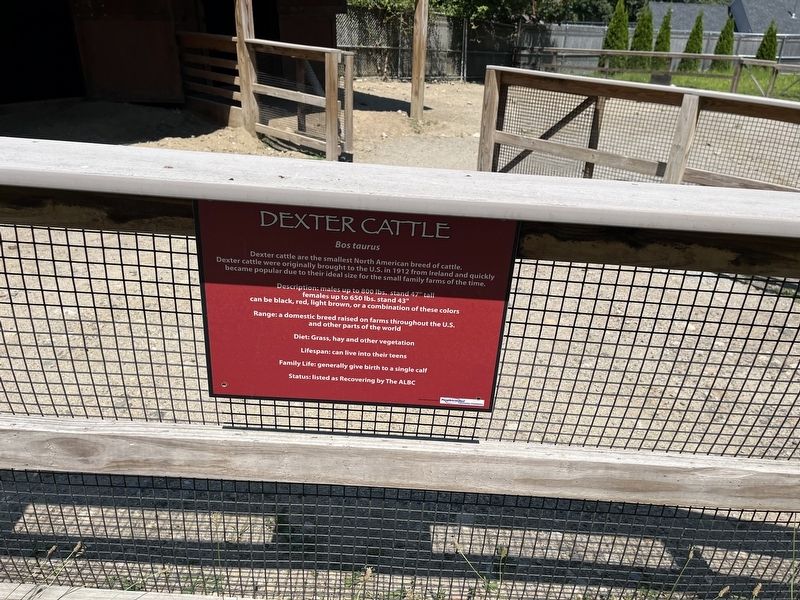 Dexter Cattle Historical Marker