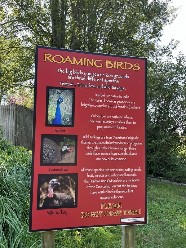 Roaming Birds Historical Marker