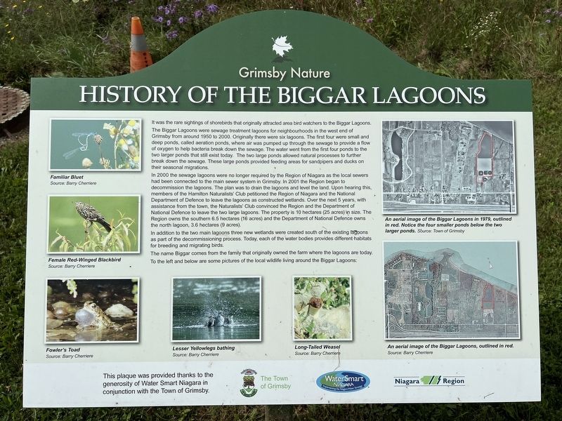 History of the Biggar Lagoons Historical Marker
