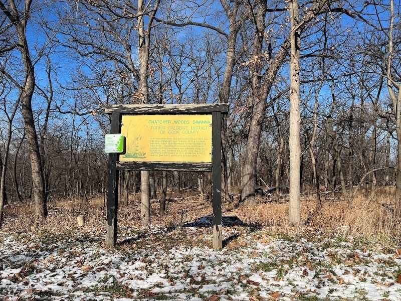 Thatcher Woods Savanna Historical Marker