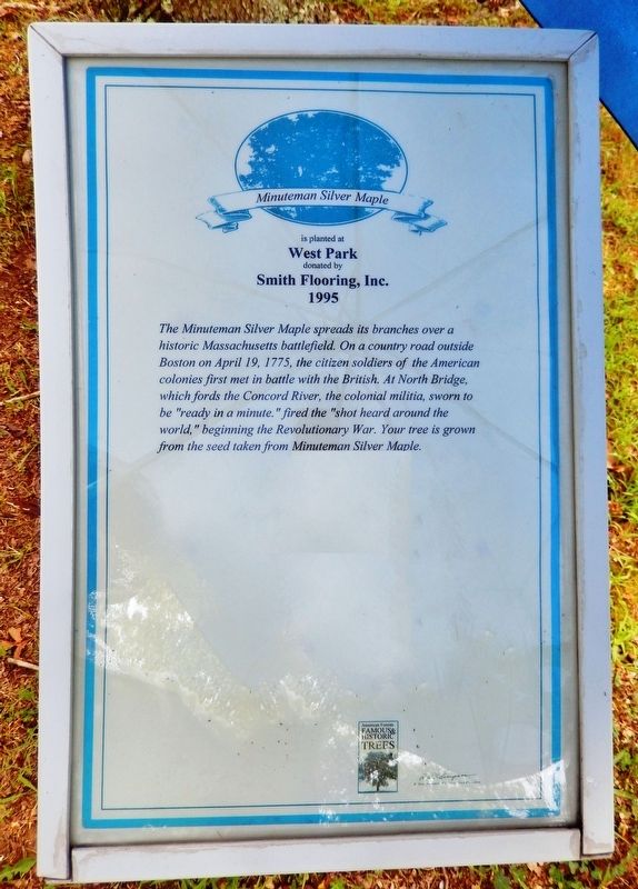 Minuteman Silver Maple Historical Marker