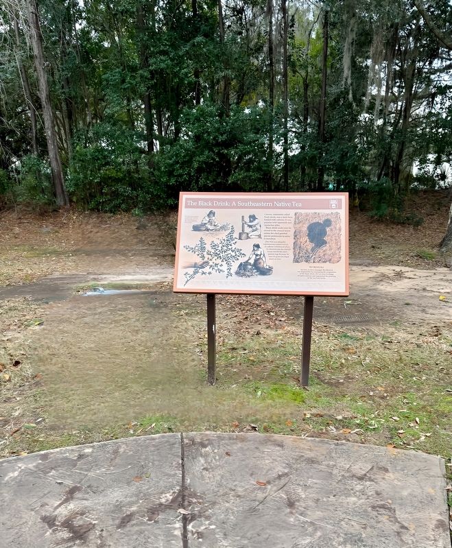The Black Drink: A Southeastern Native Tea Historical Marker