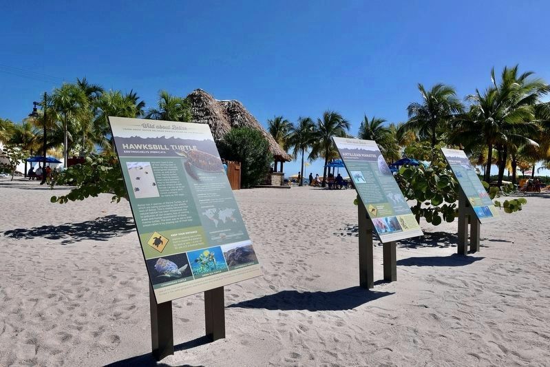 Antillean Manatee Historical Marker