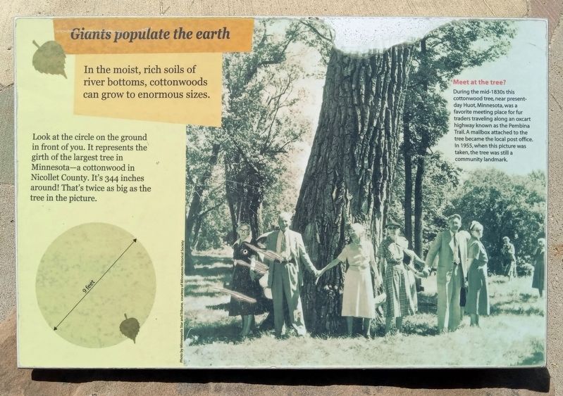 Giants populate the earth Historical Marker