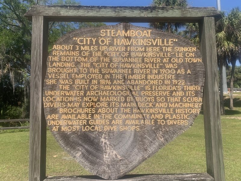 Steamboat "City of Hawkinsville" Historical Marker