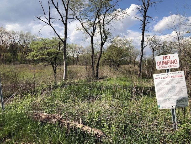 Wolf Road Prairie Historical Marker