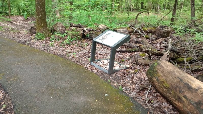 People At Flint Ridge Through Time Historical Marker