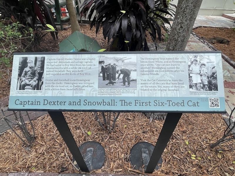 Captain Dexter and Snowball: The First Six-Toed Cat Historical Marker