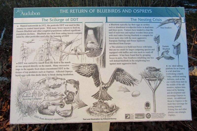 The Return of Bluebirds and Ospreys Historical Marker
