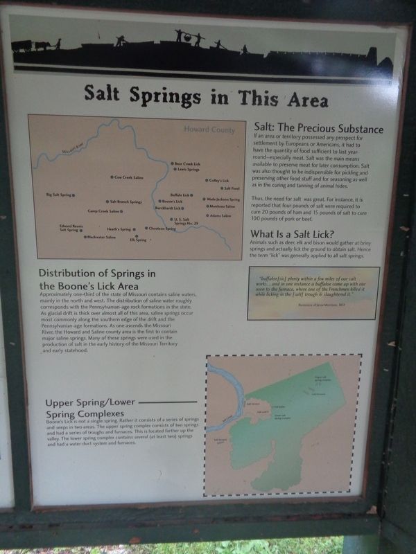 Salt Springs In This Area Historical Marker