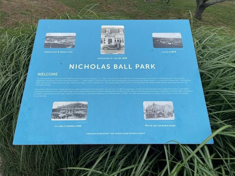 Nicholas Ball Park Historical Marker