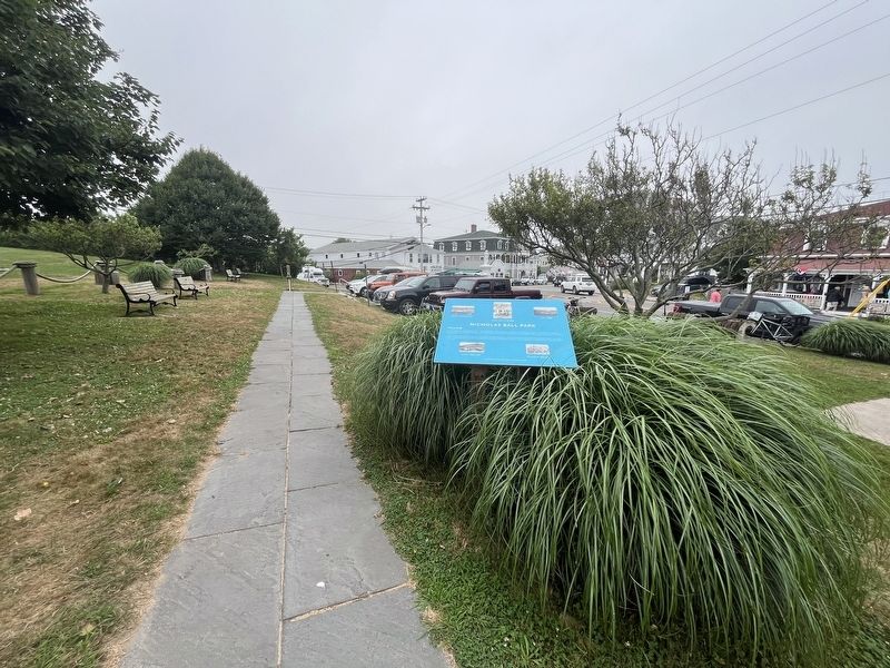 Nicholas Ball Park Historical Marker