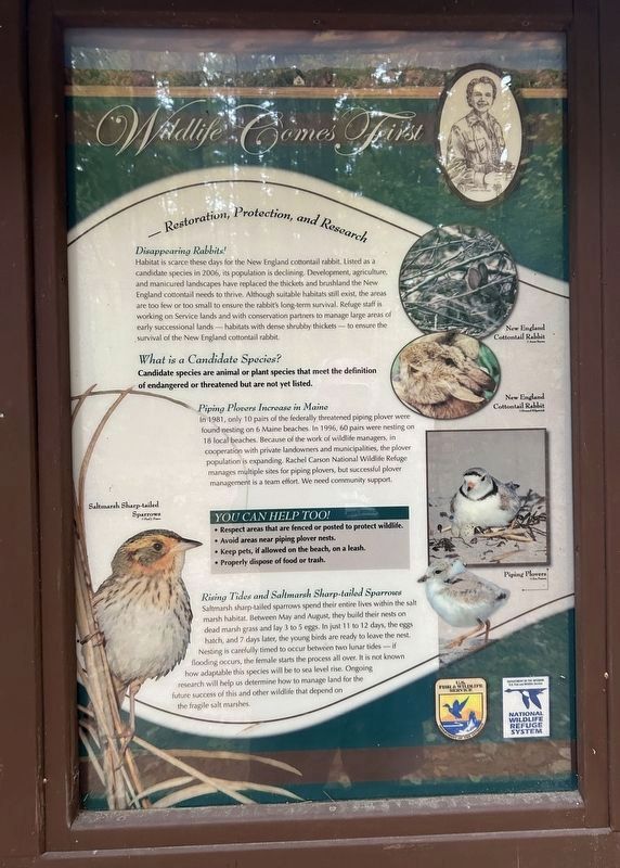 Rachel Carson National Wildlife Refuge Historical Marker