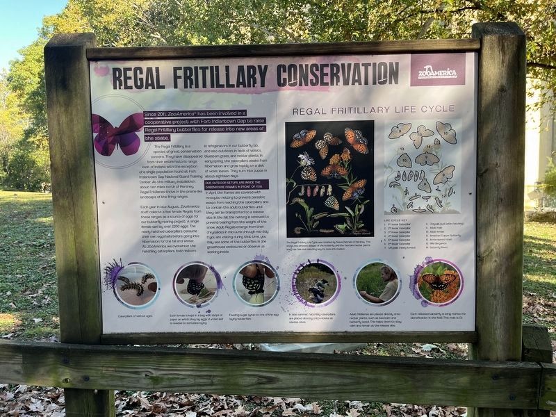 Regal Fritillary Conservation Historical Marker