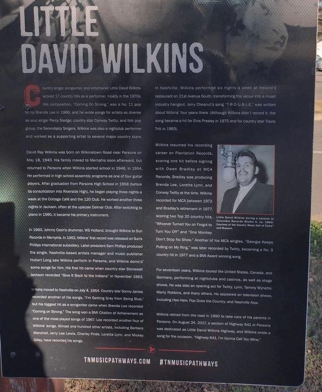 Little David Wilkins Historical Marker