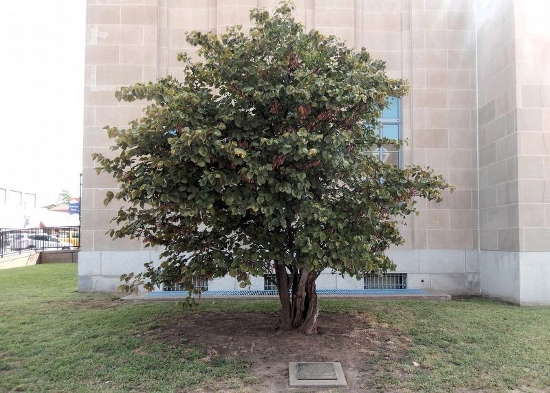 Oklahoma City Bombing Memorial Historical Marker