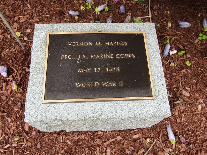 Vernon M. Haynes, a War Memorial