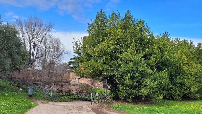 L'area della ex Vigna Barberini / Area of the Former Barberini Vineyard ...