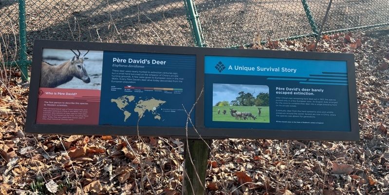 Père David's Deer Historical Marker